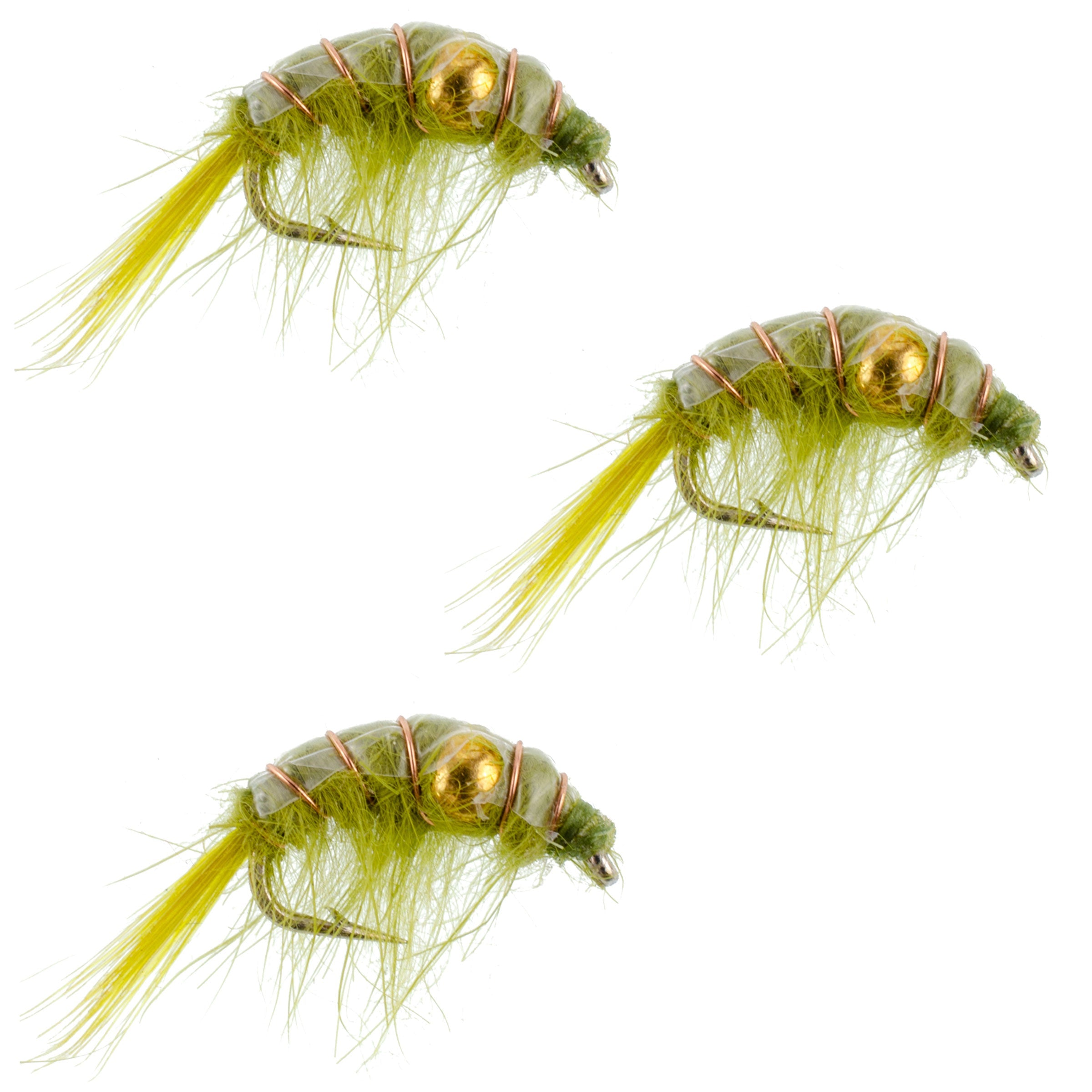 3 Pack Olive Beaded Shrimp Scud Pattern - Size 12 - Tailwater Lake Fly ...