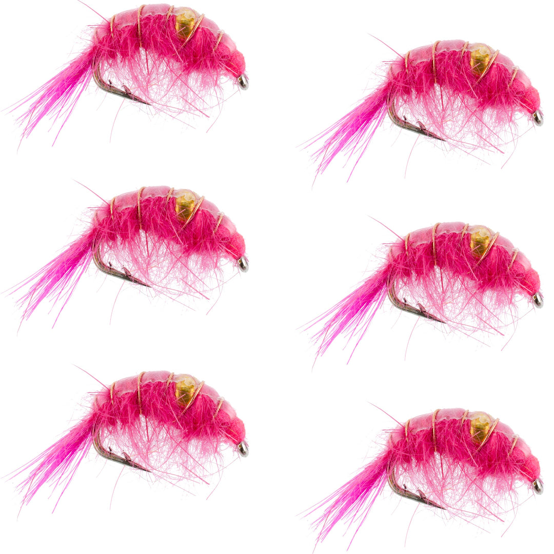 Pink Beaded Shrimp Scud Pattern - 6 Flies - Size 16 - Tailwater Lake F ...