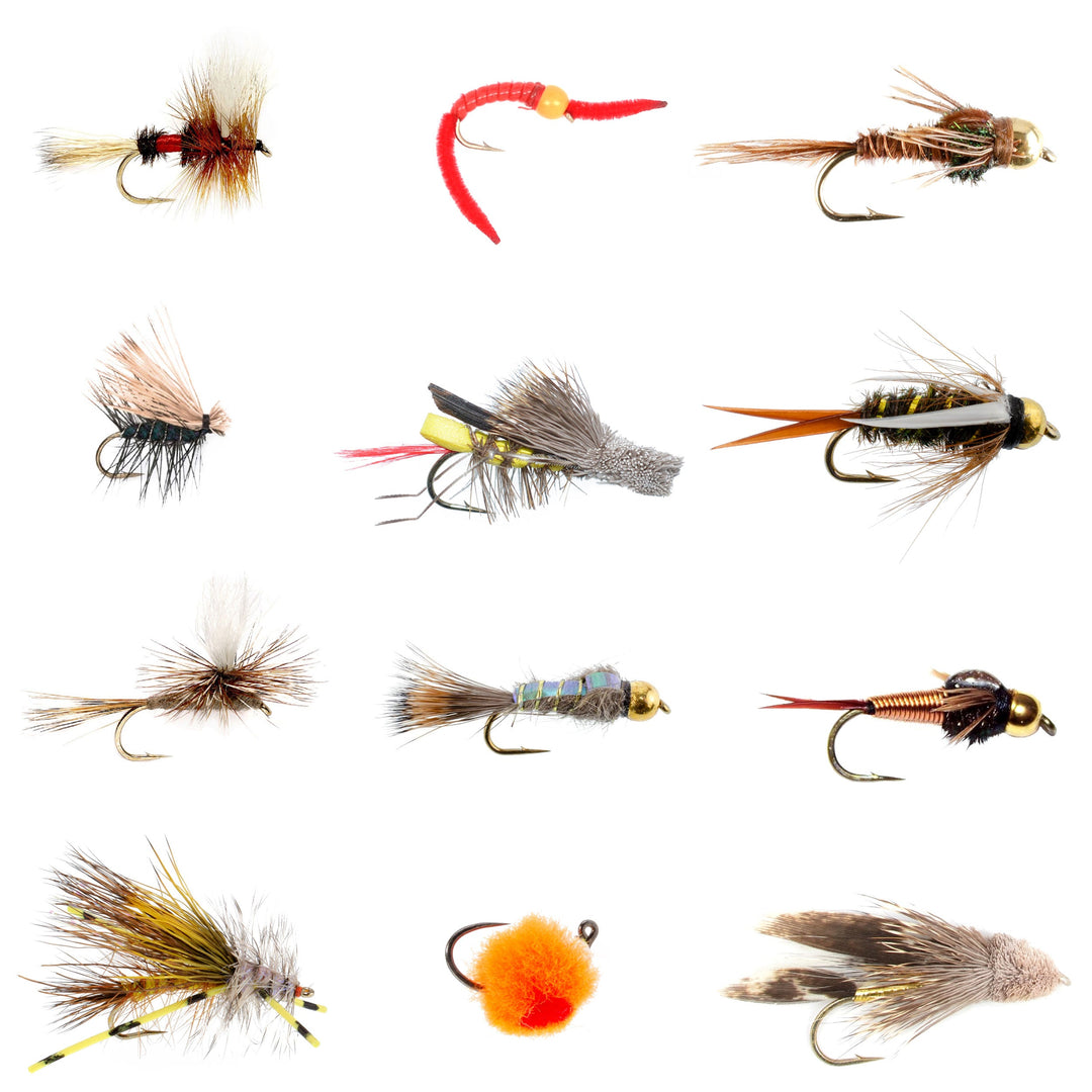 Trout Flies Assortment - 12 Flies for Trout Fly Fishing with Fly Box ...