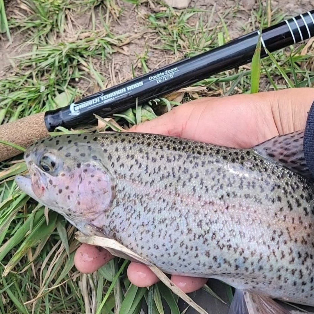 RodZilla Tenkara Rod – 16'/17'6" 8:2 Action | Wasatch Tenkara Rods