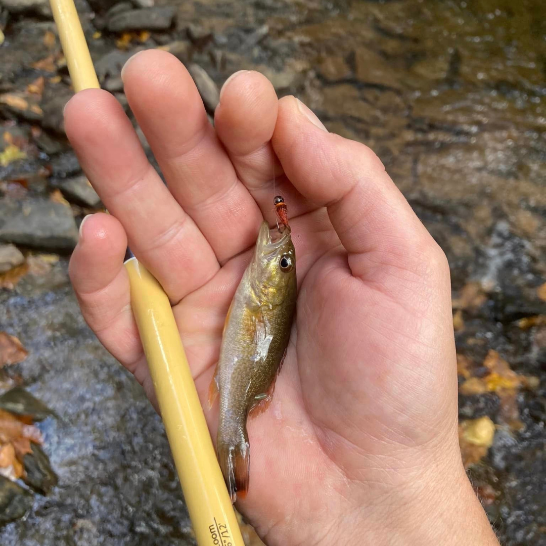 Hankyu Middle Fork – Wasatch Tenkara Rods